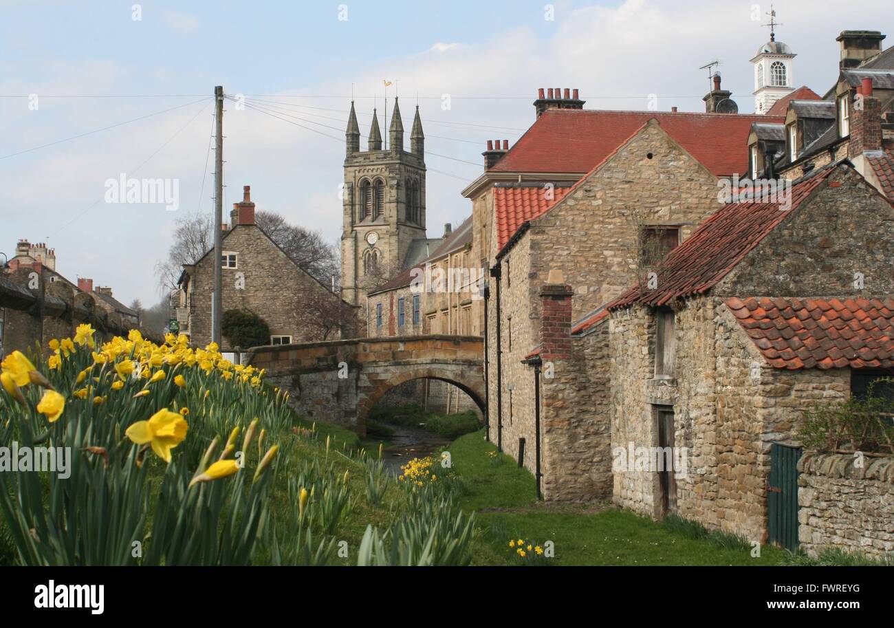 Helmsley daffodils hi-res stock photography and images - Alamy