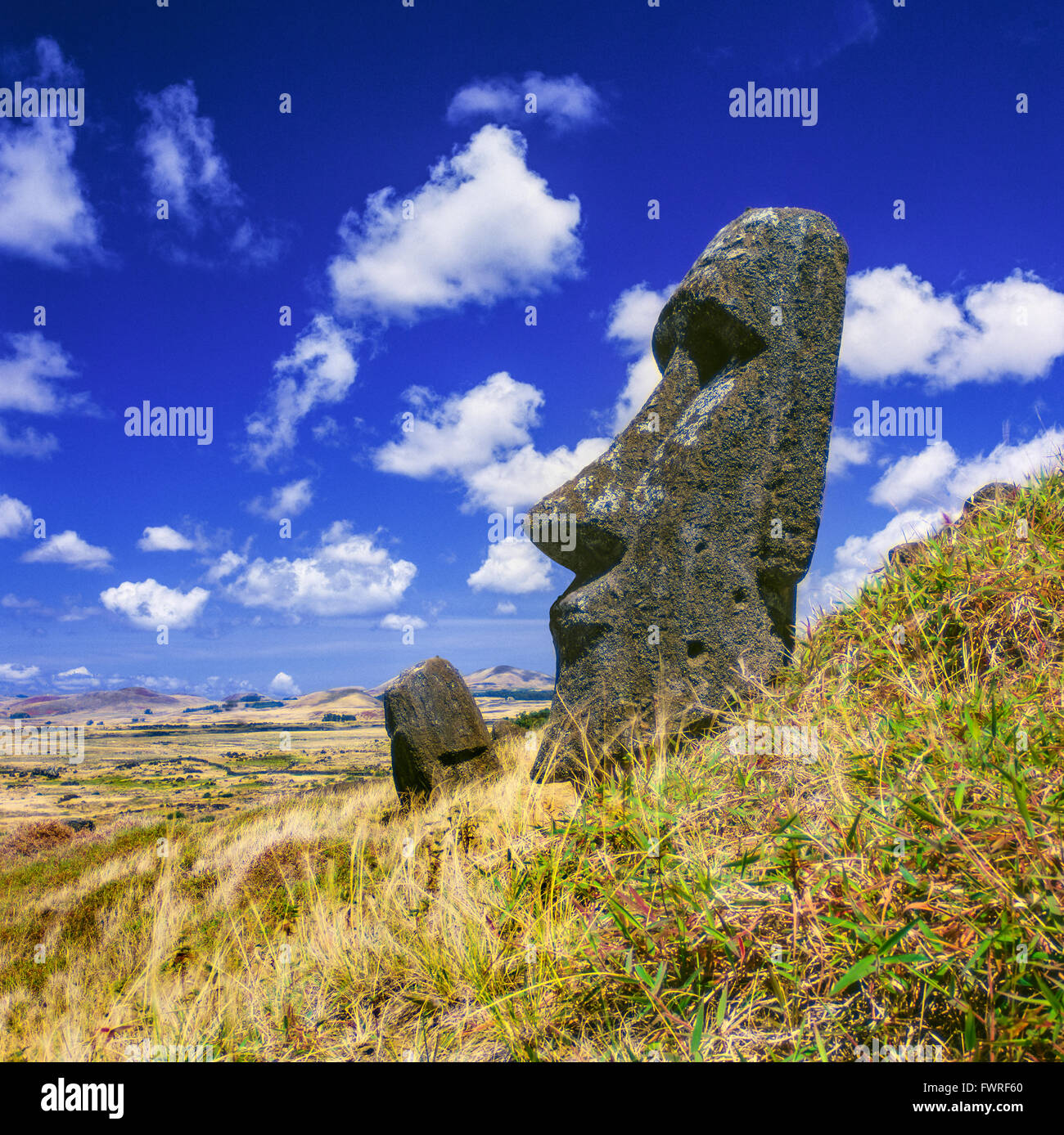 Moais at Rano Raraku. Easter Island Stock Photo - Alamy