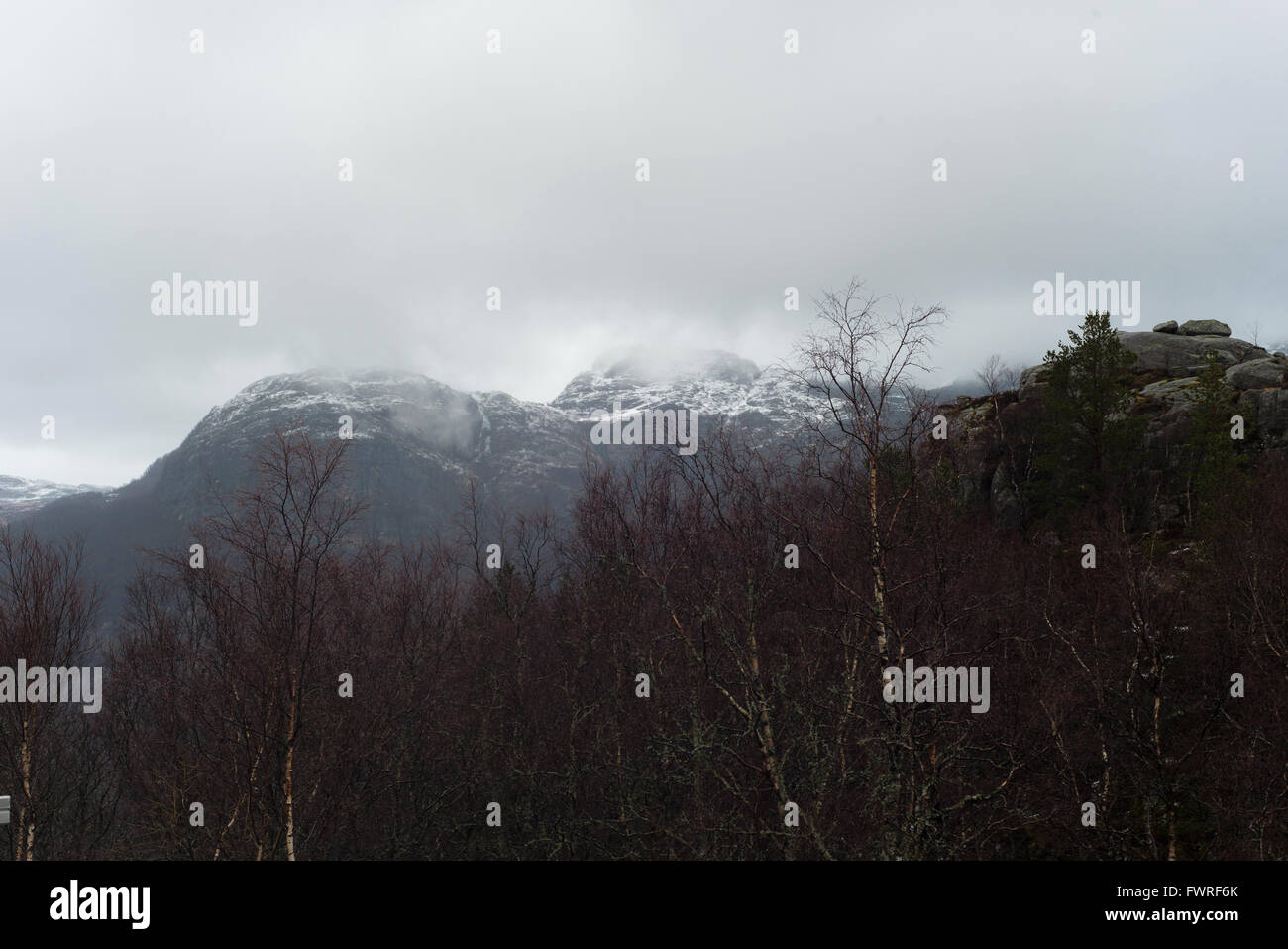 misty tree line and snowy mountains in norway stavanger Stock Photo - Alamy