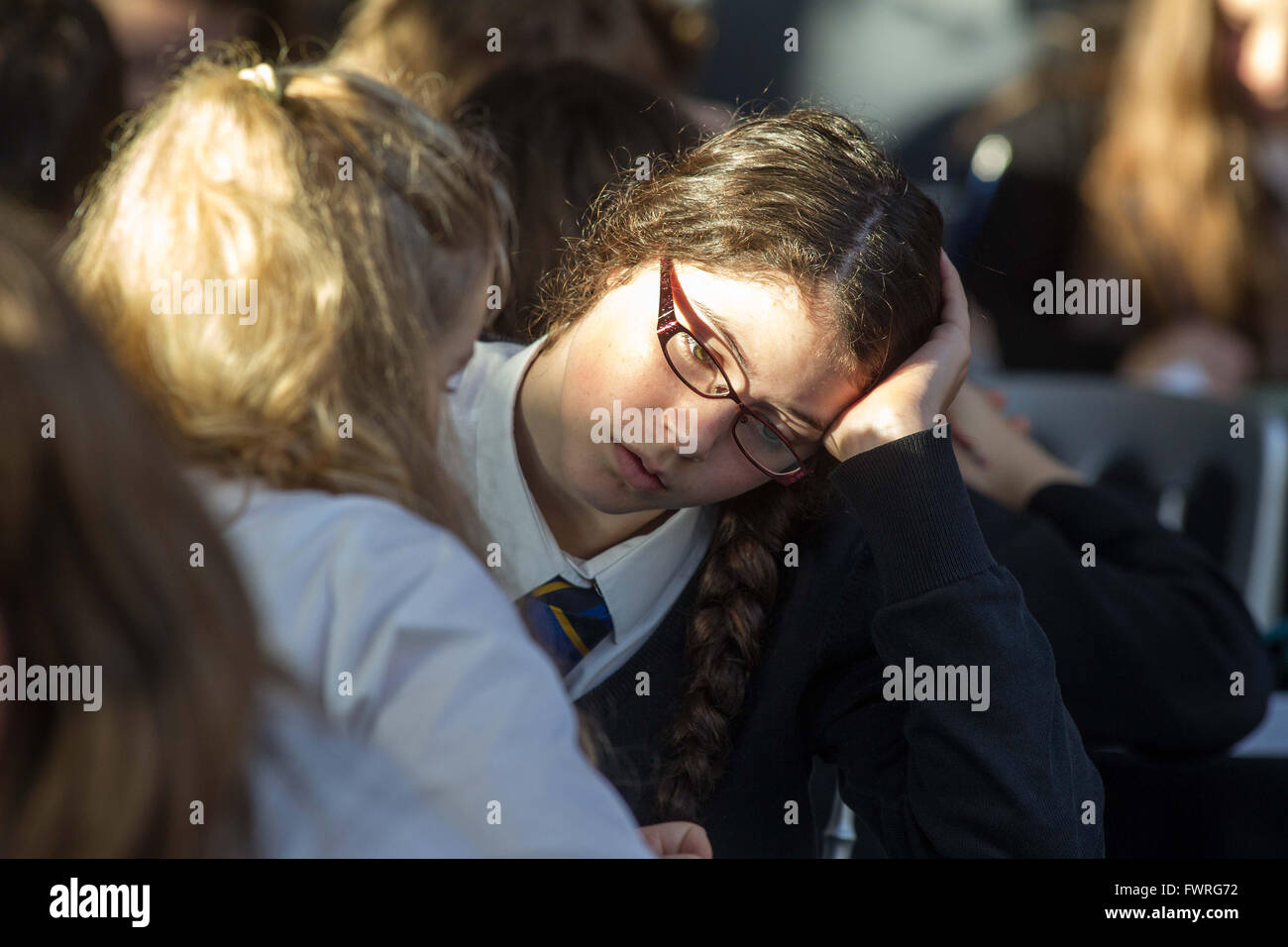 School Pupils studying and working together Stock Photo - Alamy