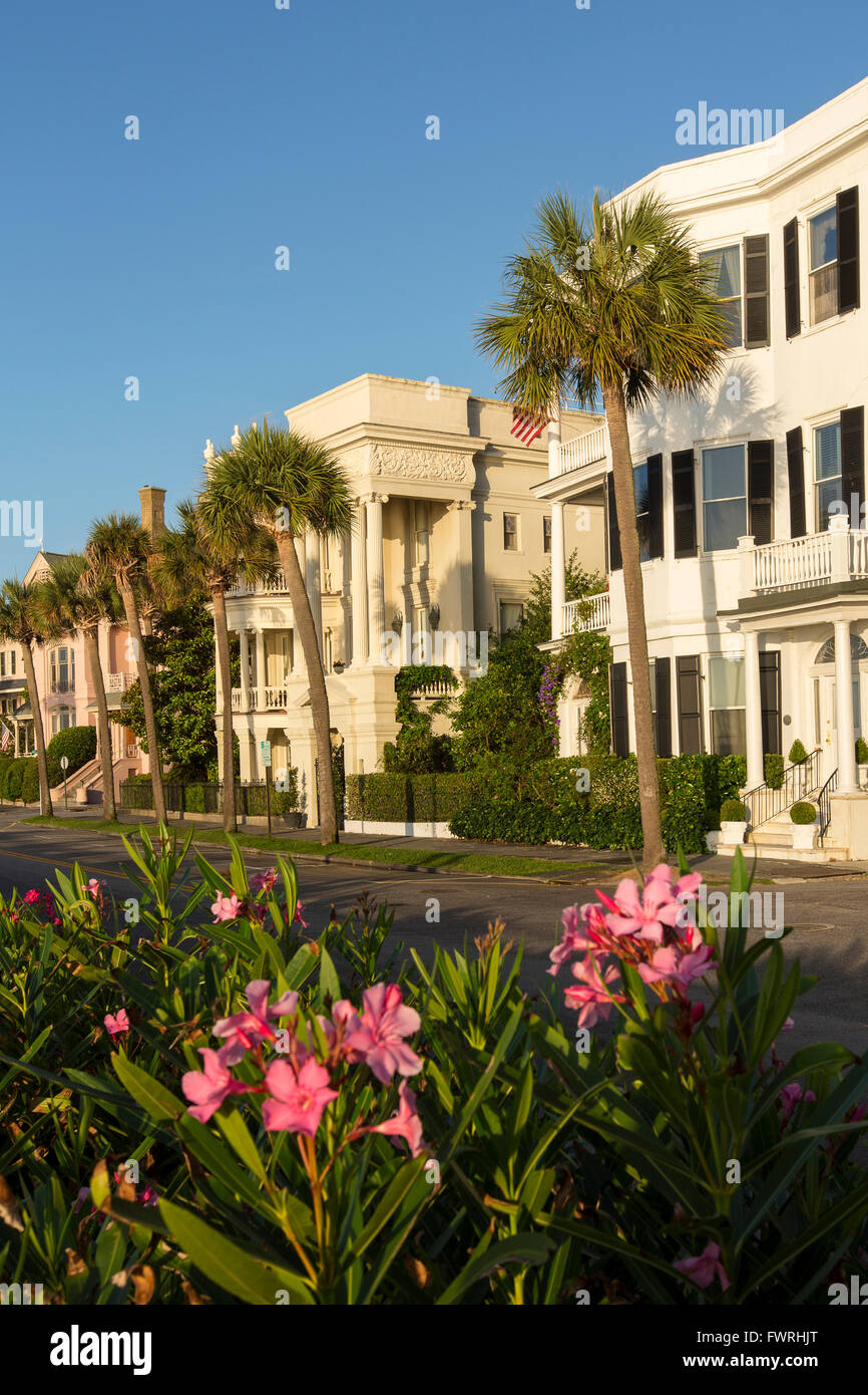 The historic Battery in Charleston, South Carolina Stock Photo - Alamy