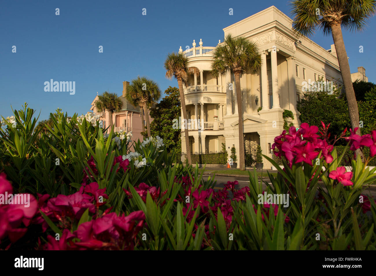 The historic Battery in Charleston, South Carolina Stock Photo - Alamy