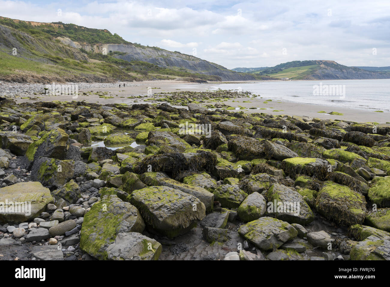 Lyme regis cliffs hi-res stock photography and images - Alamy