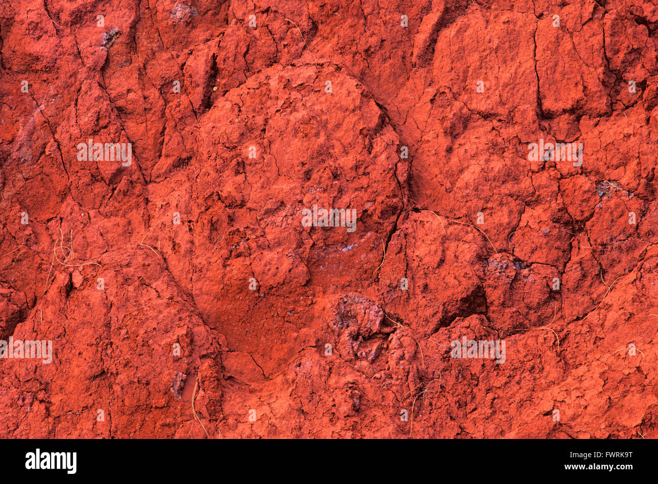 Mud cliff, Maui, Hawaii, USA Stock Photo - Alamy