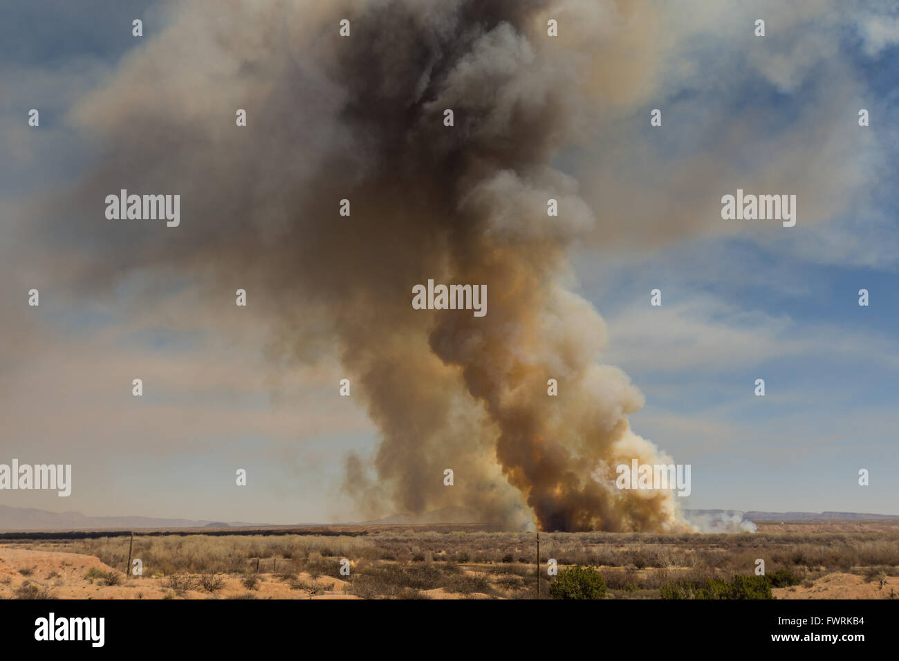 Riparian woodland hi-res stock photography and images - Alamy