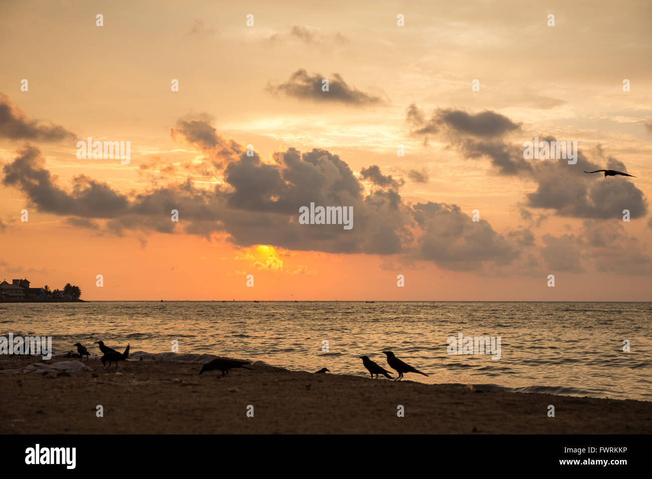 Sandy beach dawn sri lanka hi-res stock photography and images - Alamy