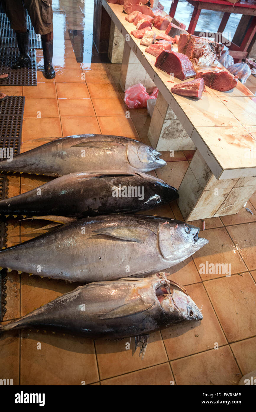Indian ocean yellow fin tuna fishing hi-res stock photography and ...