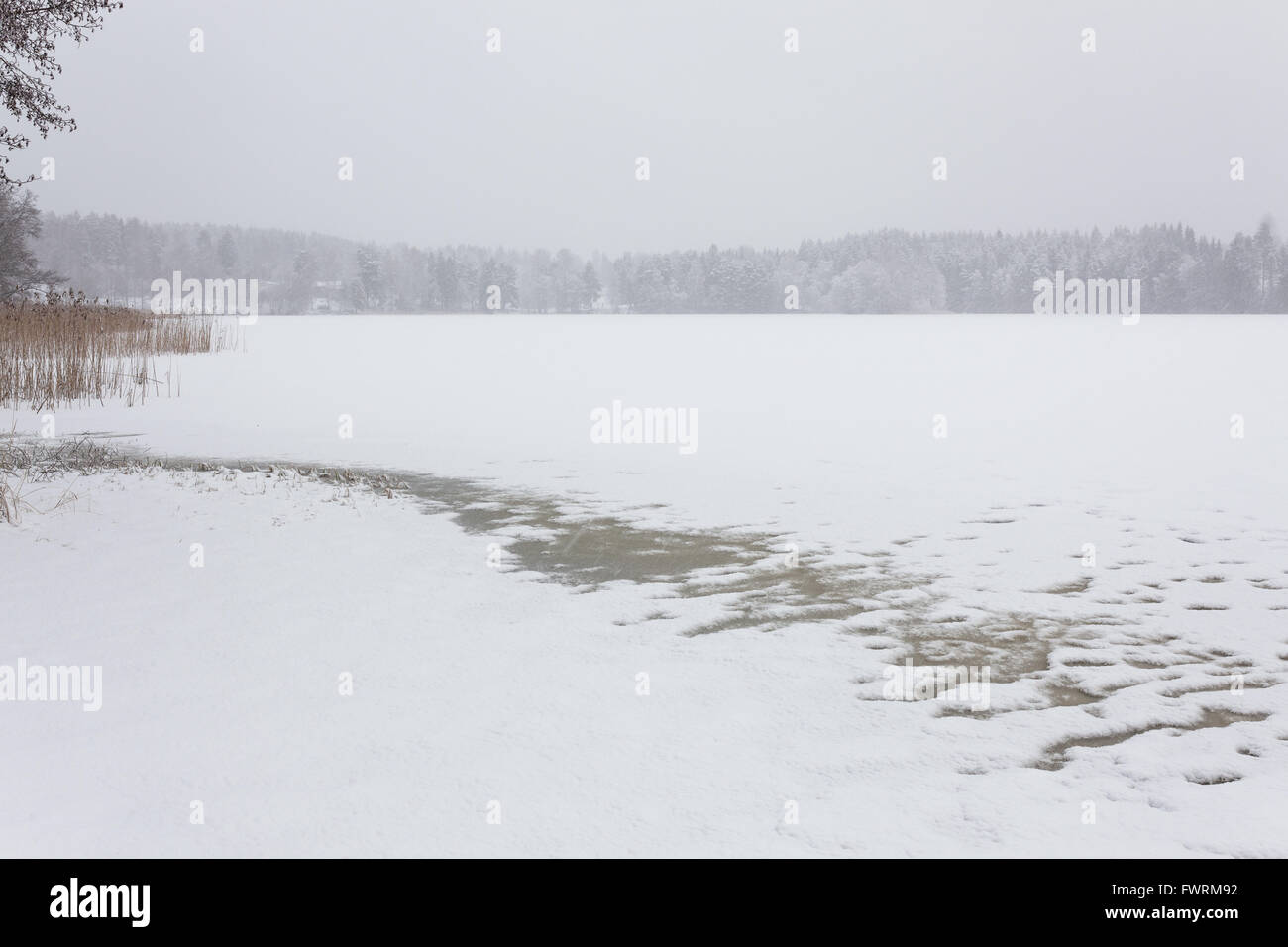 Blizzard winter landscape at frozen lake Stock Photo - Alamy