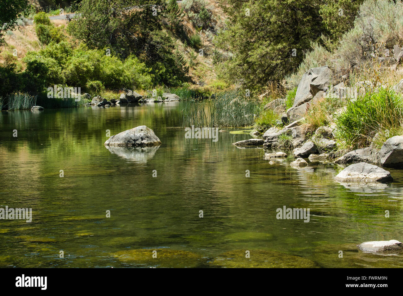 Pelton oregon hi-res stock photography and images - Alamy