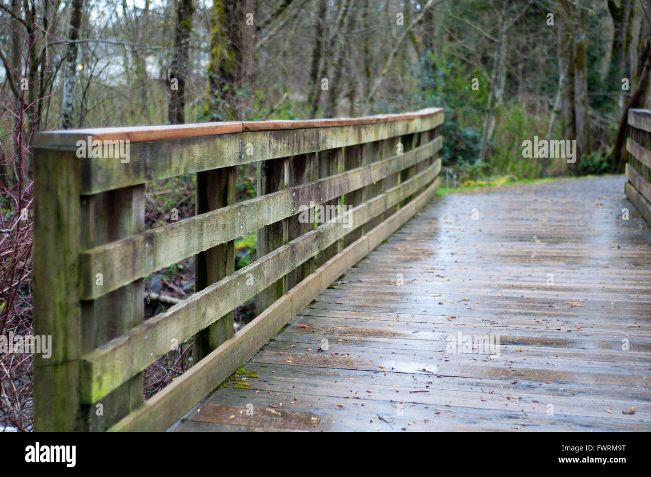 Wet bridge in Washington Stock Photo - Alamy