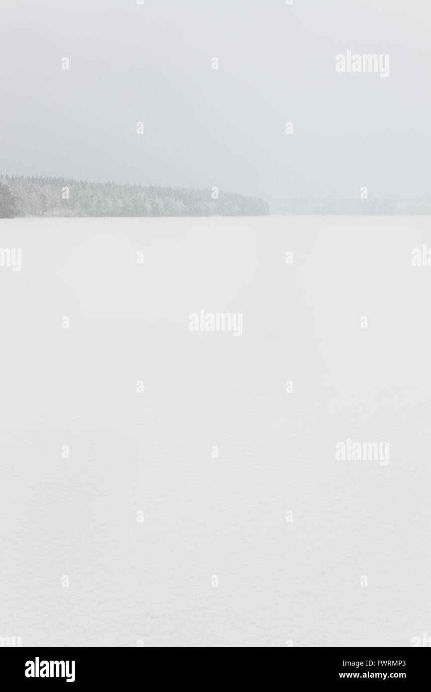 Blizzard winter landscape at frozen lake Stock Photo - Alamy