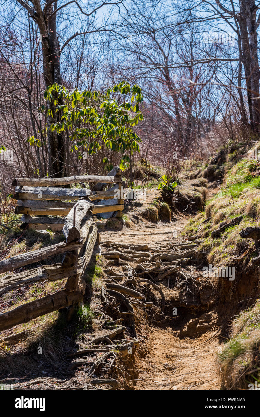 Spring fence blue ridge parkway hi-res stock photography and images - Alamy