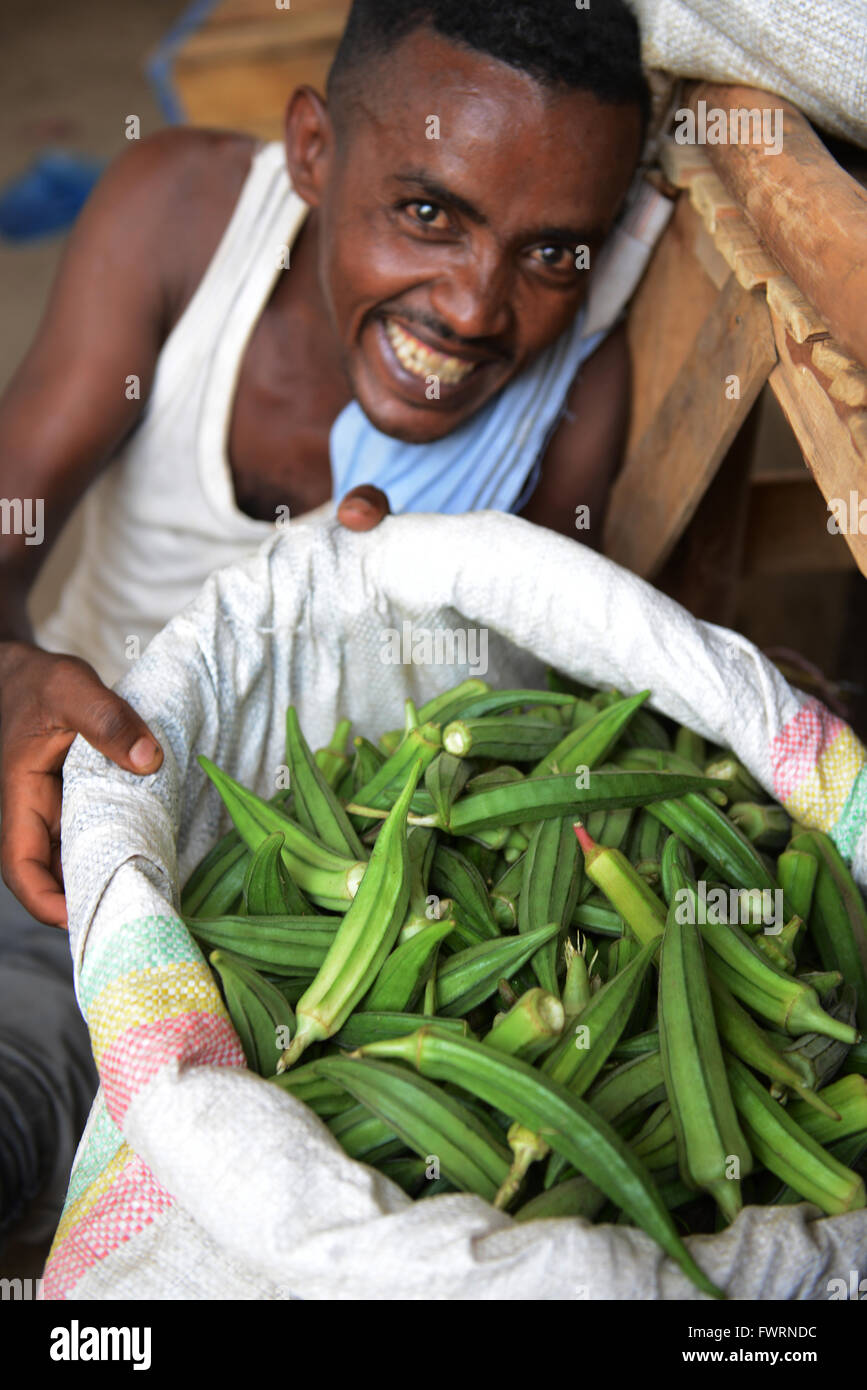 Okra harvest in Humera, Ethiopia Stock Photo - Alamy