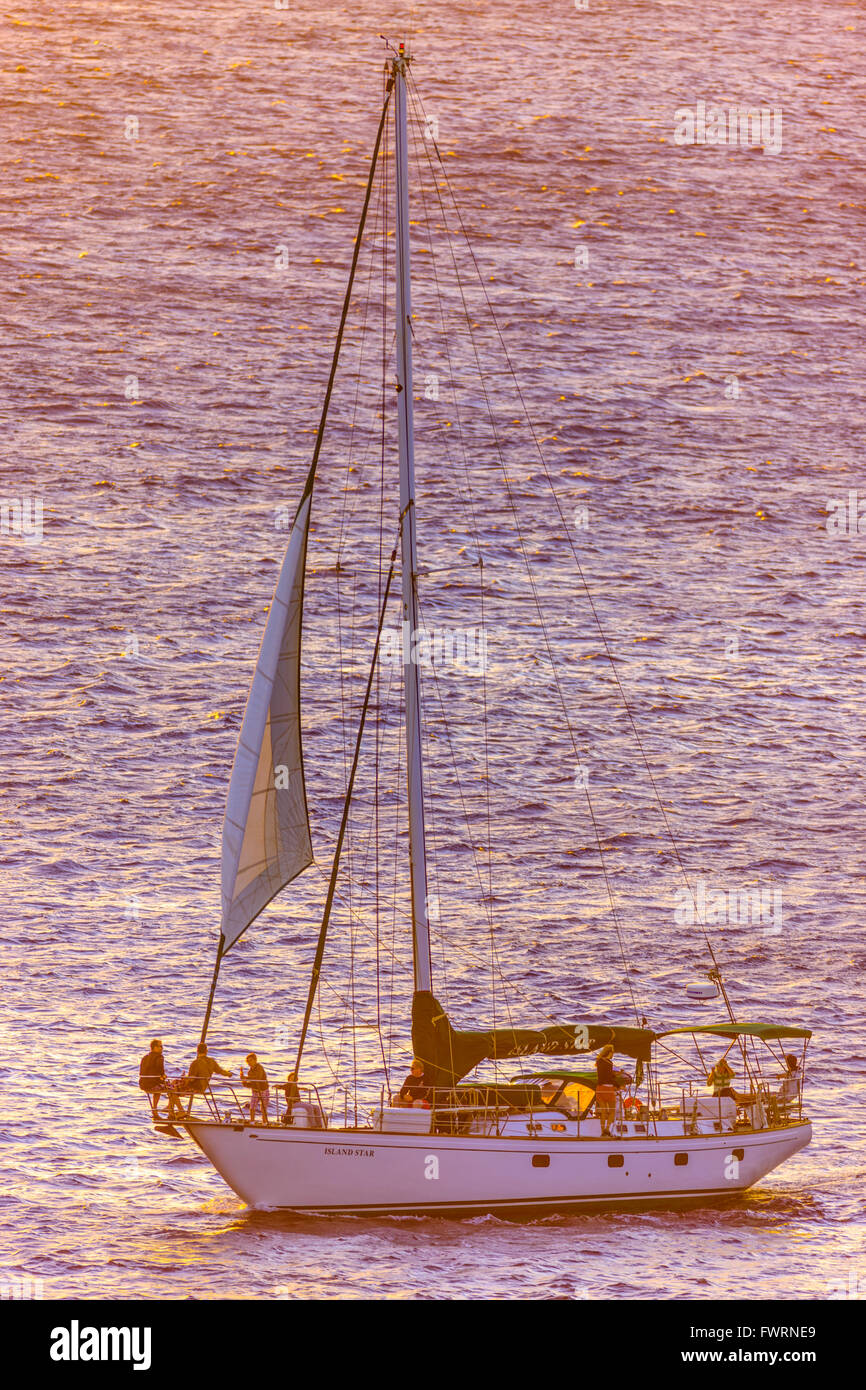 Sailing on Maui Stock Photo - Alamy