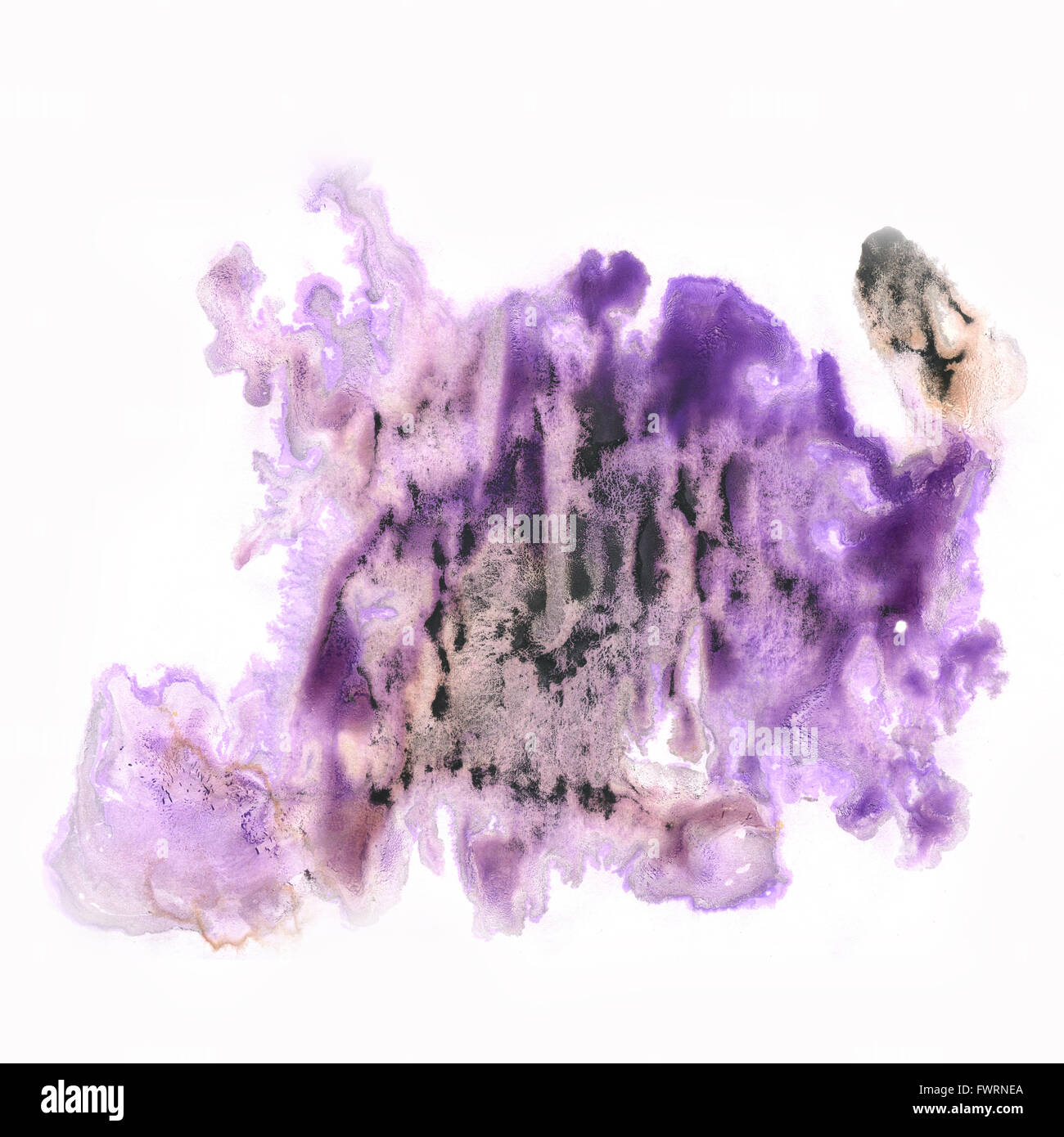 color black purple splash stroke abstract watercolor spot macro ...