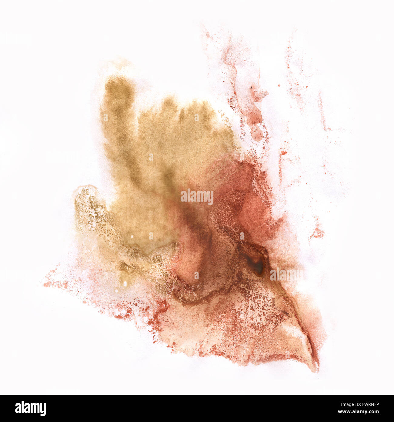 color brown splash stroke abstract watercolor spot macro watercolour ...