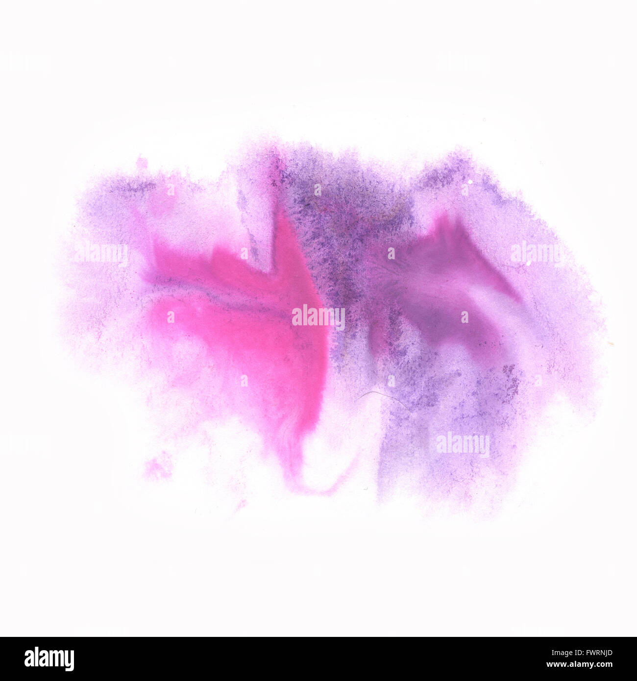 color purple pink splash stroke abstract watercolor spot macro ...