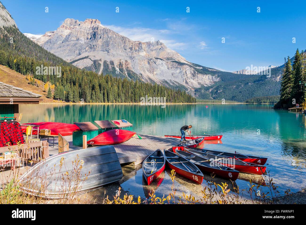 Red rental canoes, Emerald Lake, Yoho National park, British Columbia ...