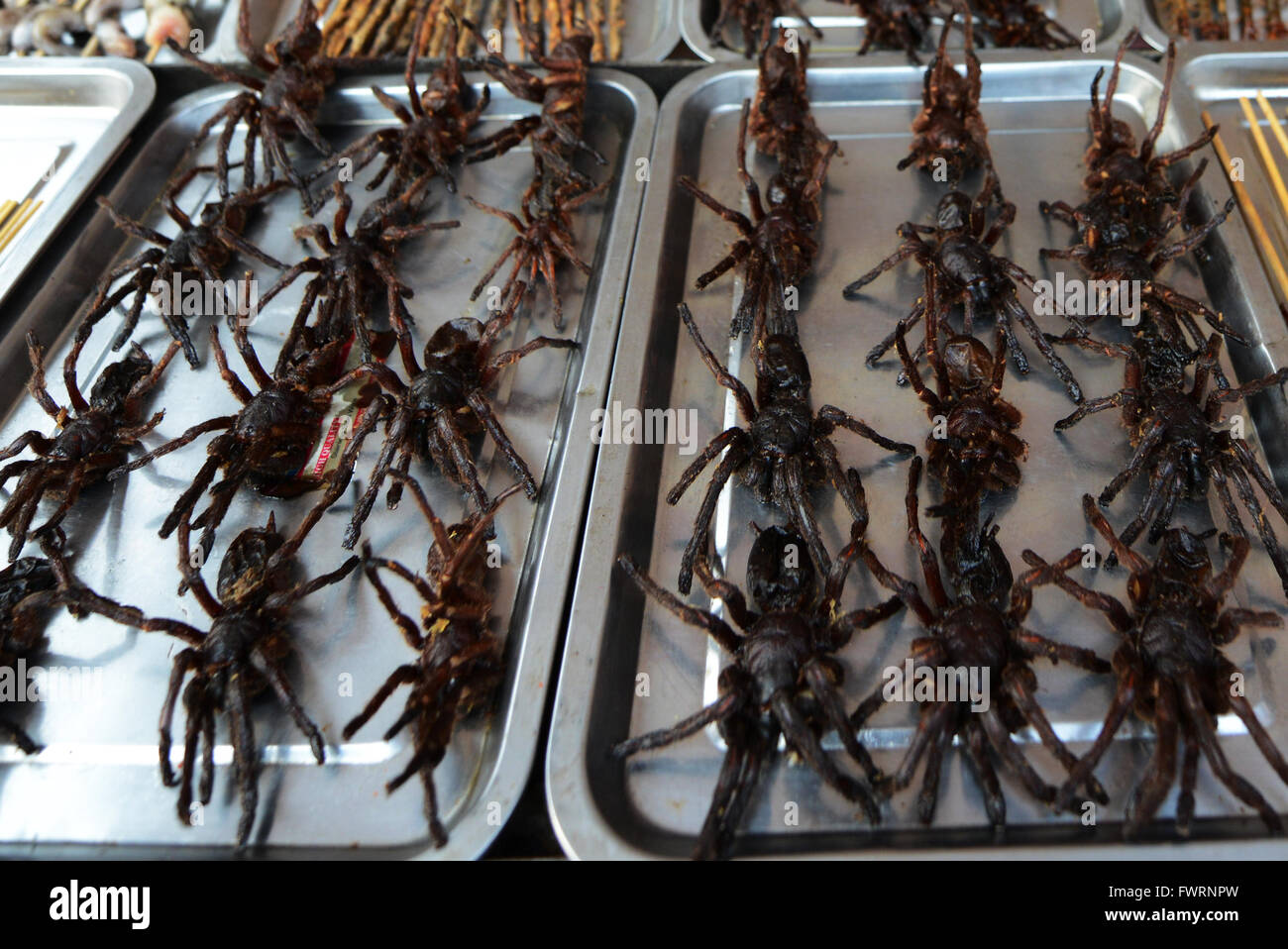 Exotic Foods Exotic Food Satay Curry | Pantry | New World