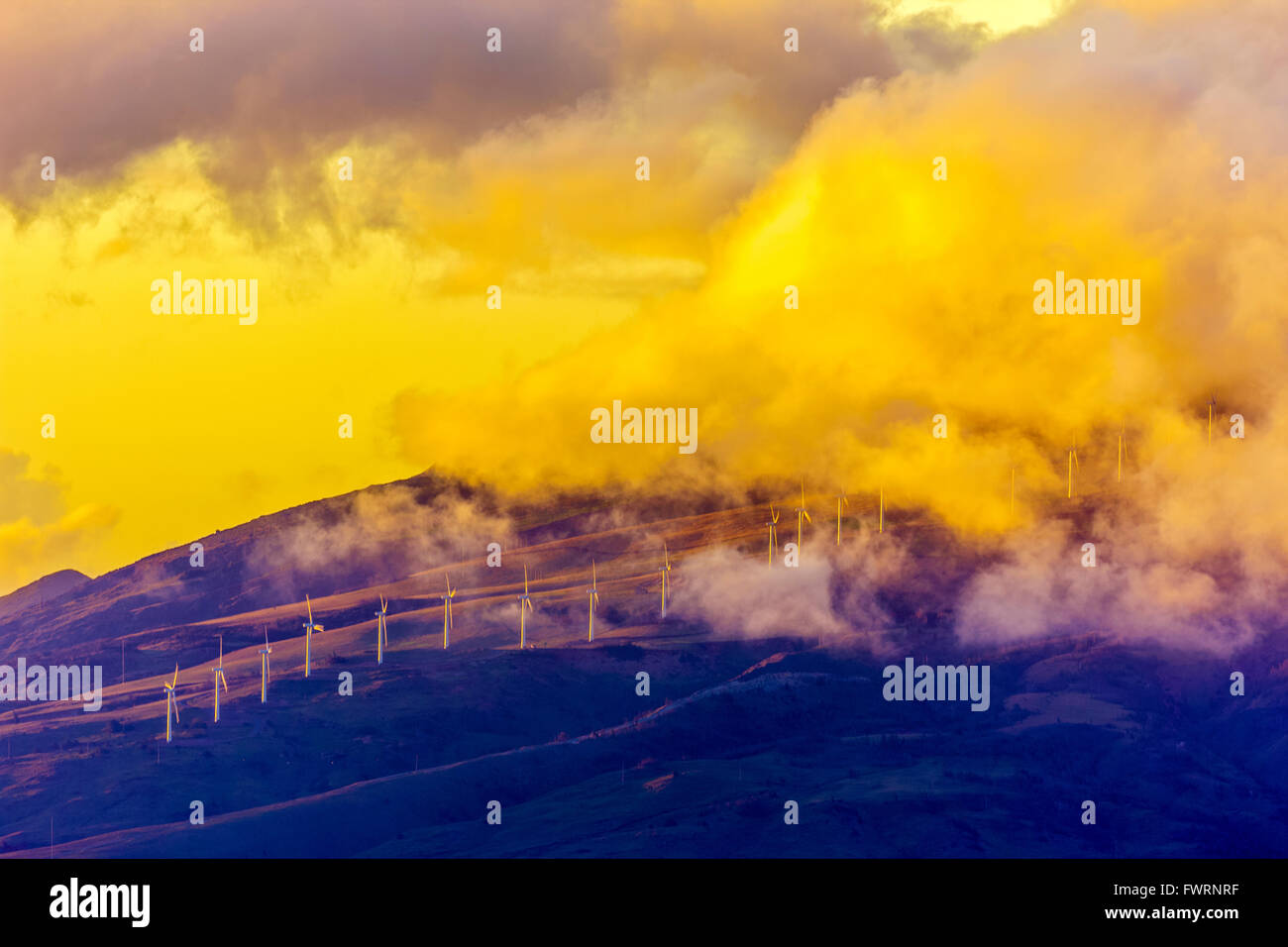 Wind power on Maui Stock Photo - Alamy