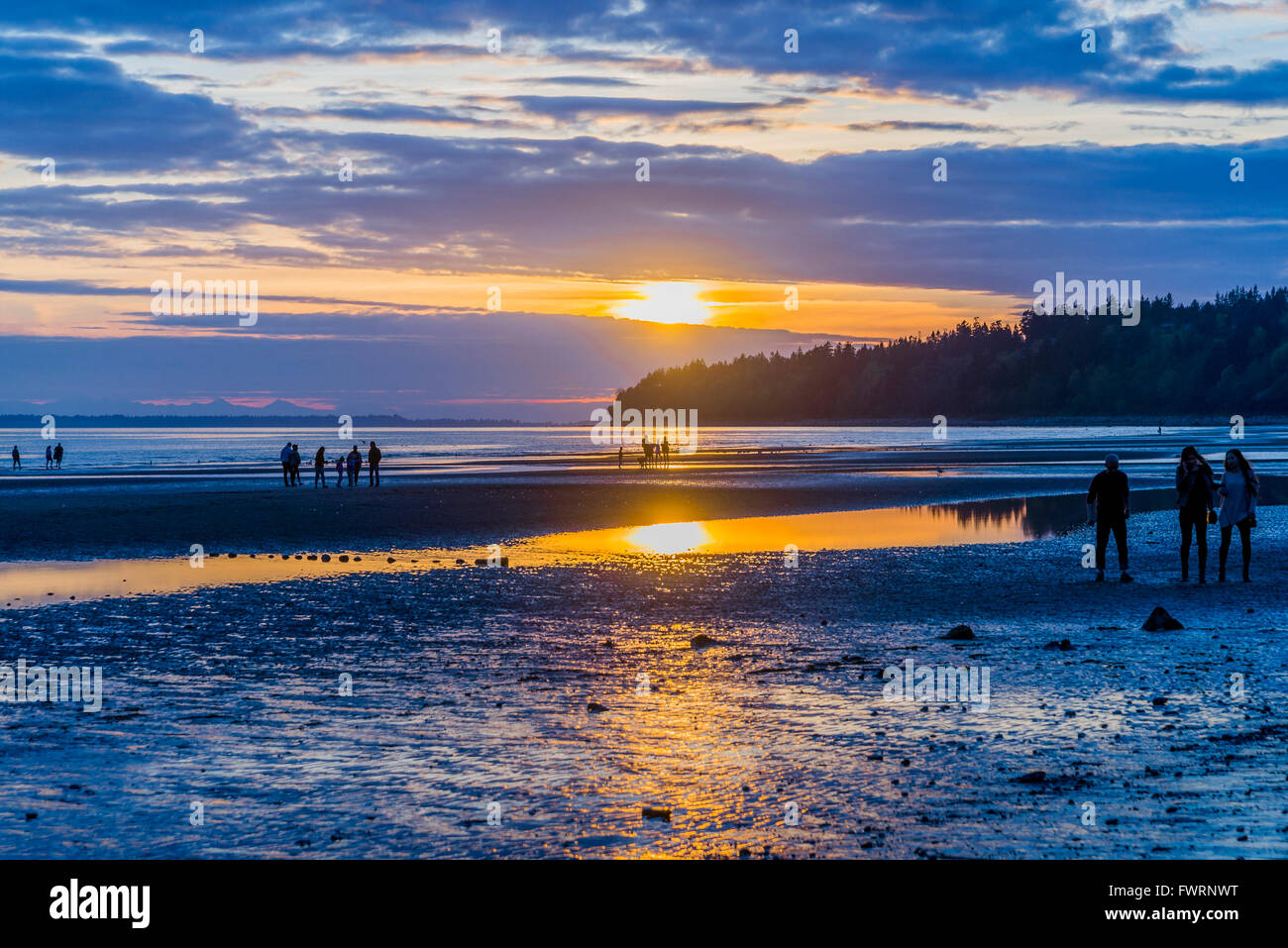 White Rock British Columbia Beach High Resolution Stock Photography and ...