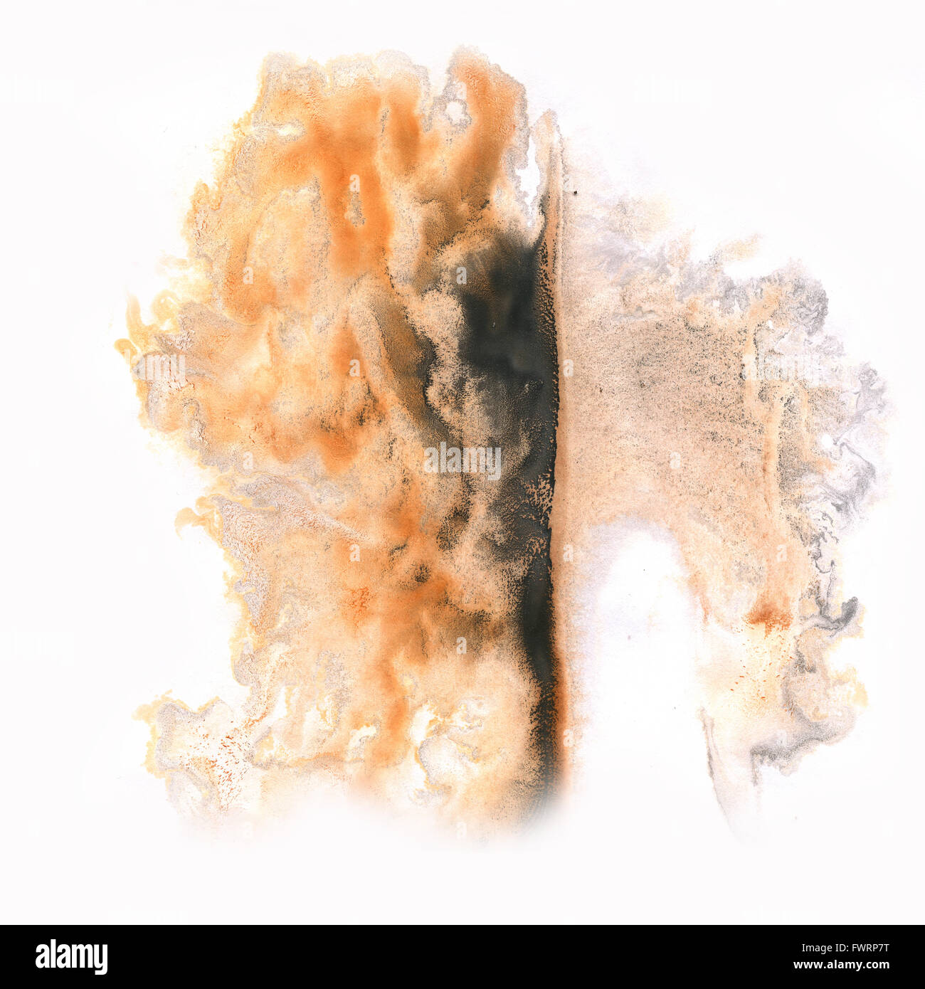 color spot macro blotch black Brown texture isolated white background ...