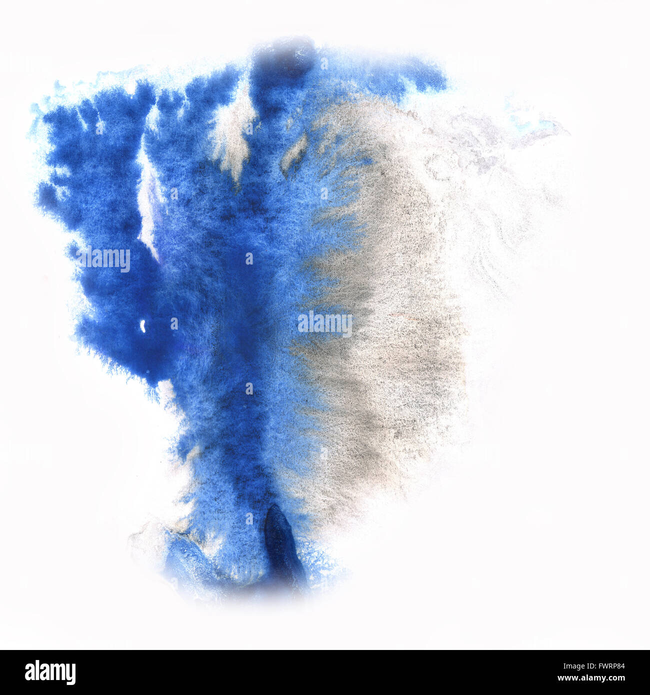 color spot macro blotch blue texture isolated white background Stock ...