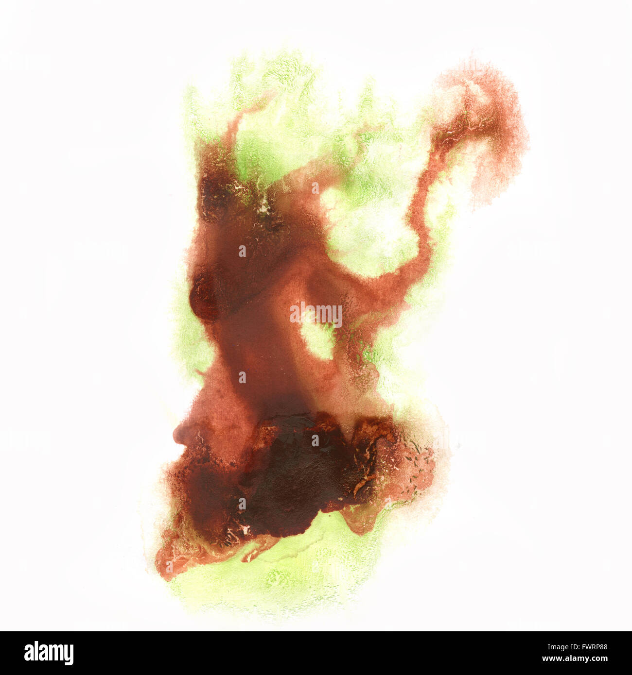 color spot macro blotch brown texture isolated white background Stock ...