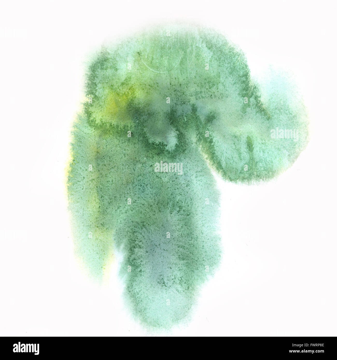 color spot macro blotch green texture isolated white background Stock ...