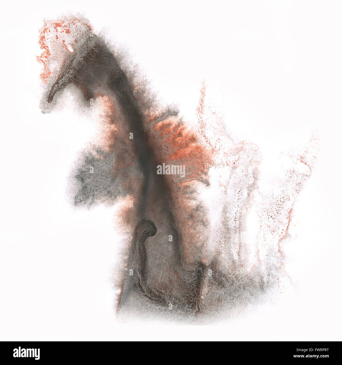 color spot macro blotch texture black Brown isolated white background ...