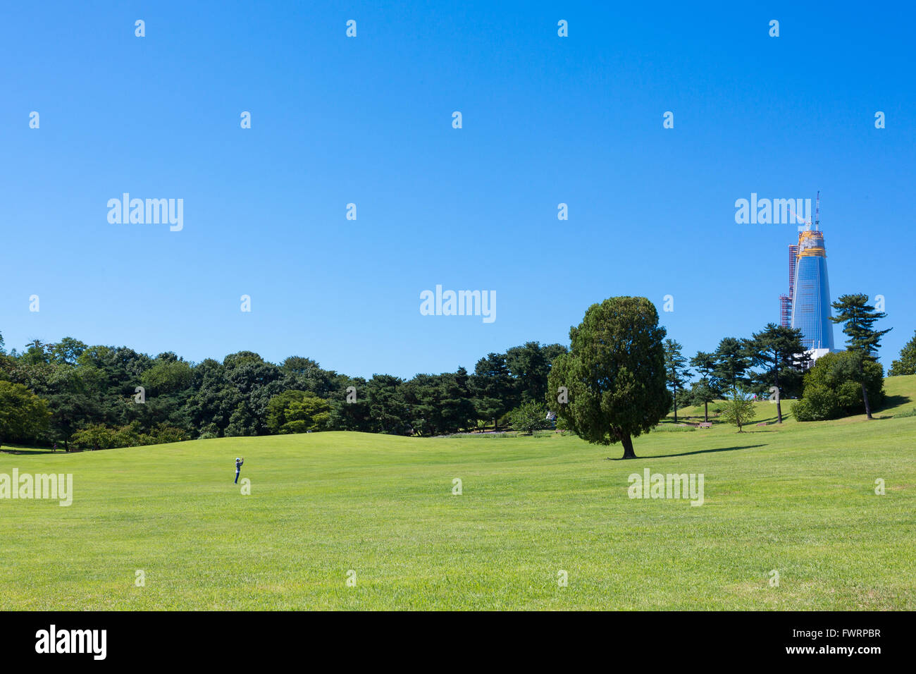 Korea tree hi-res stock photography and images - Alamy