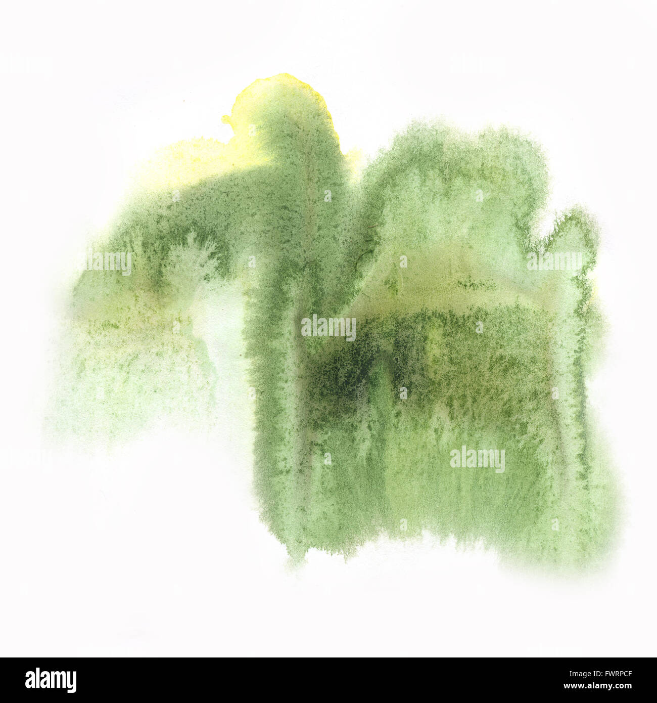 color spot macro green blotch texture isolated white background Stock ...