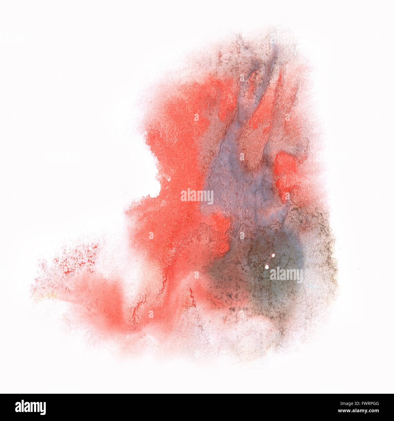 ink splatter watercolour black red dye liquid watercolor macro spot ...