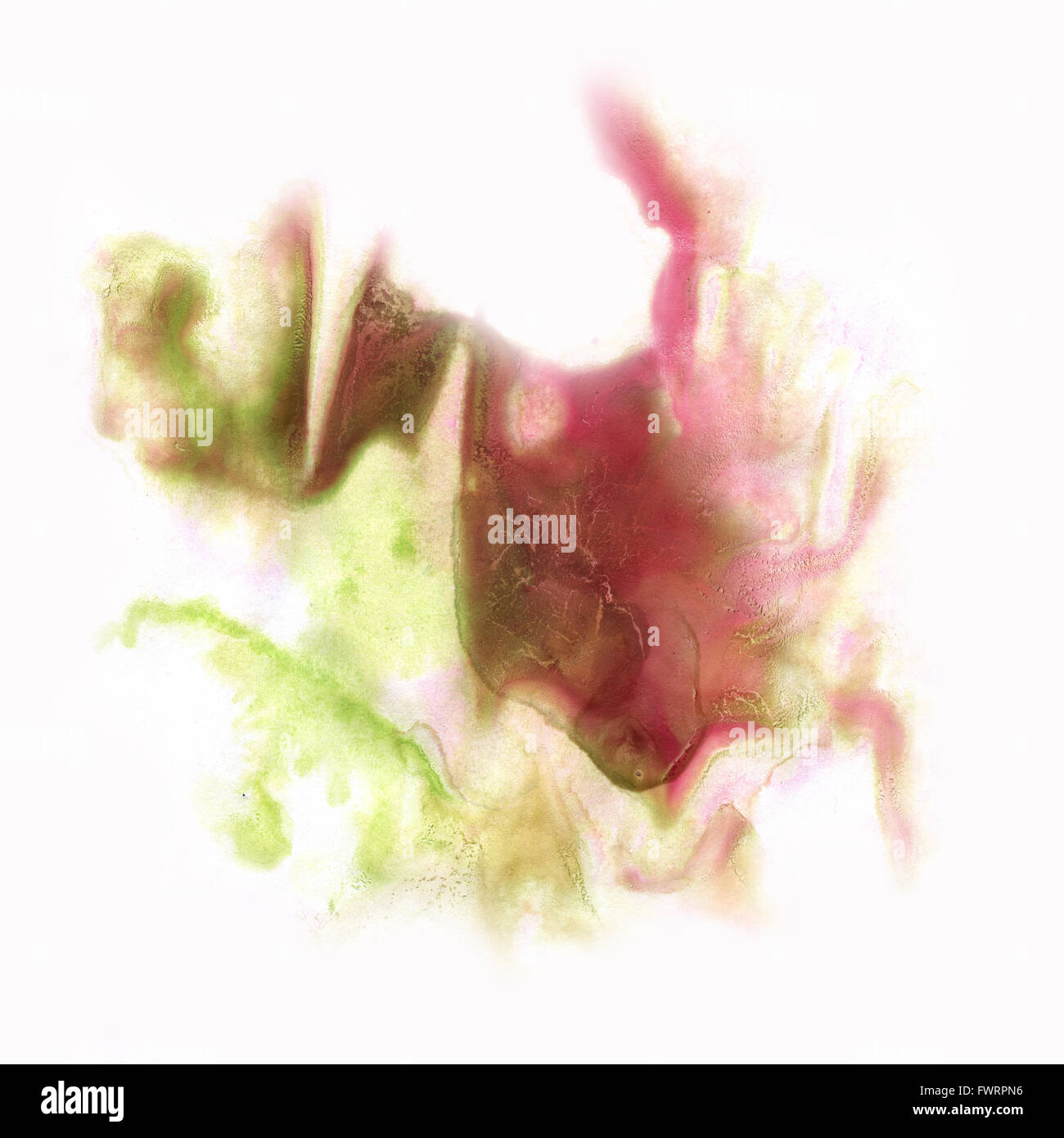 ink splatter watercolour dye liquid watercolor macro spot blotch ...