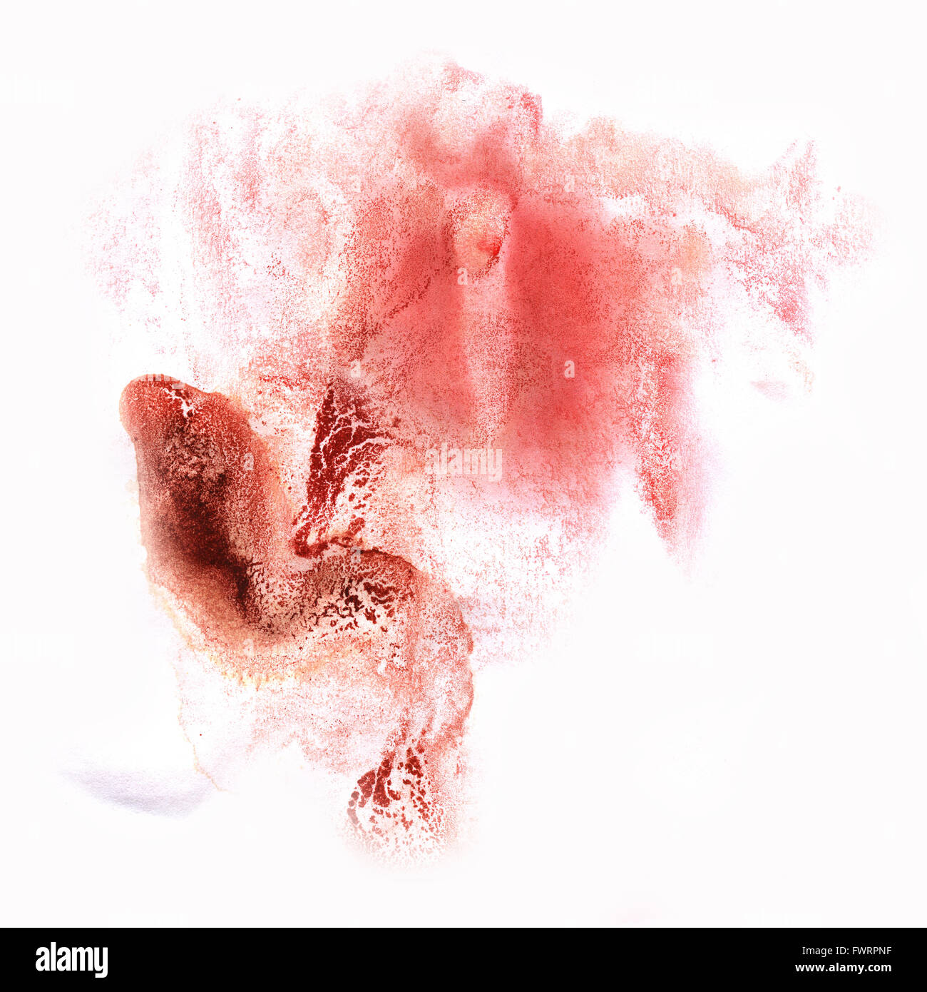 ink splatter watercolour dye liquid watercolor macro spot blotch ...
