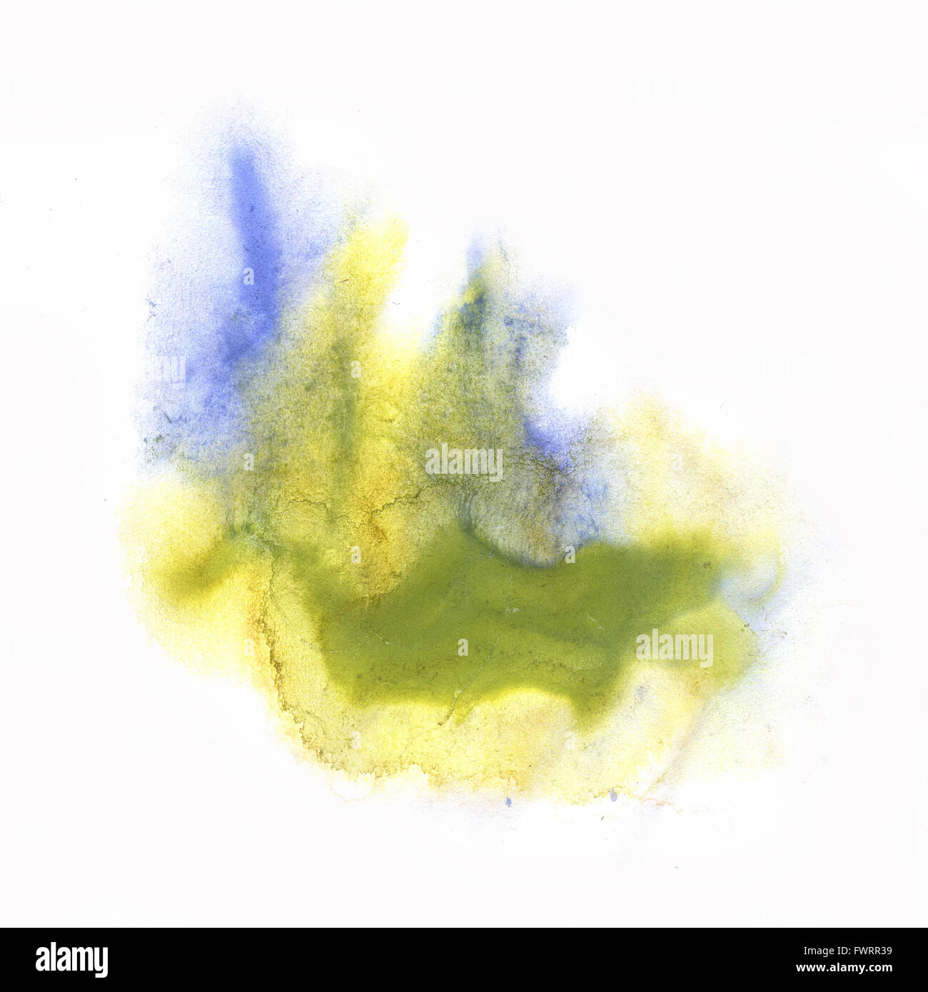 macro spot blotch blue yellow texture isolated on a white background ...