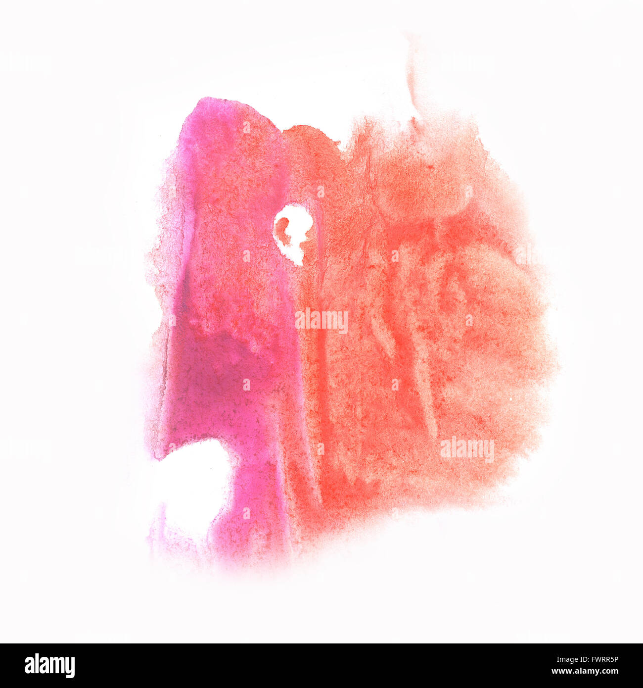 macro spot blotch texture isolated pink orange on a white background ...