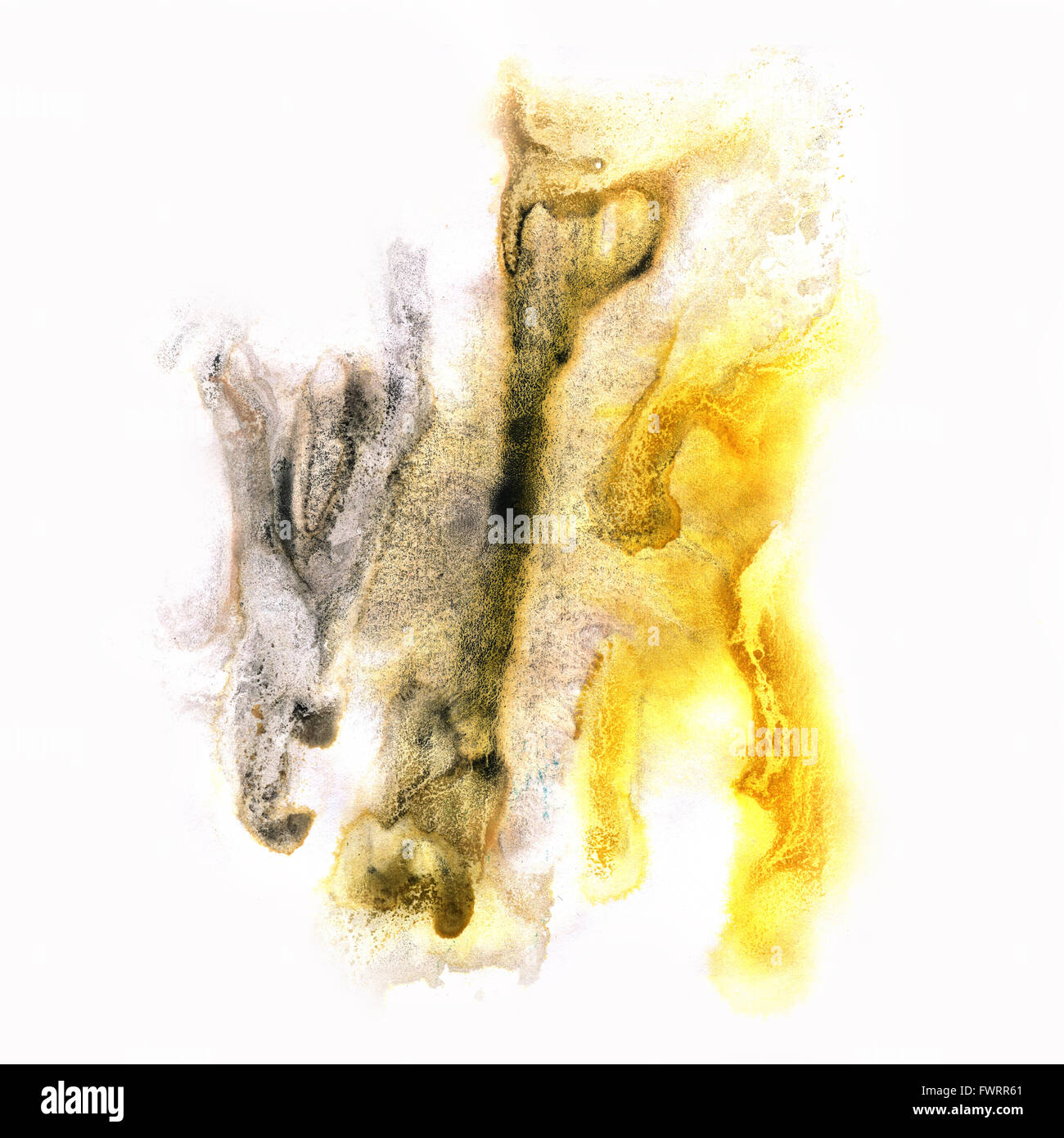 macro spot blotch texture yellow black isolated on a white background ...