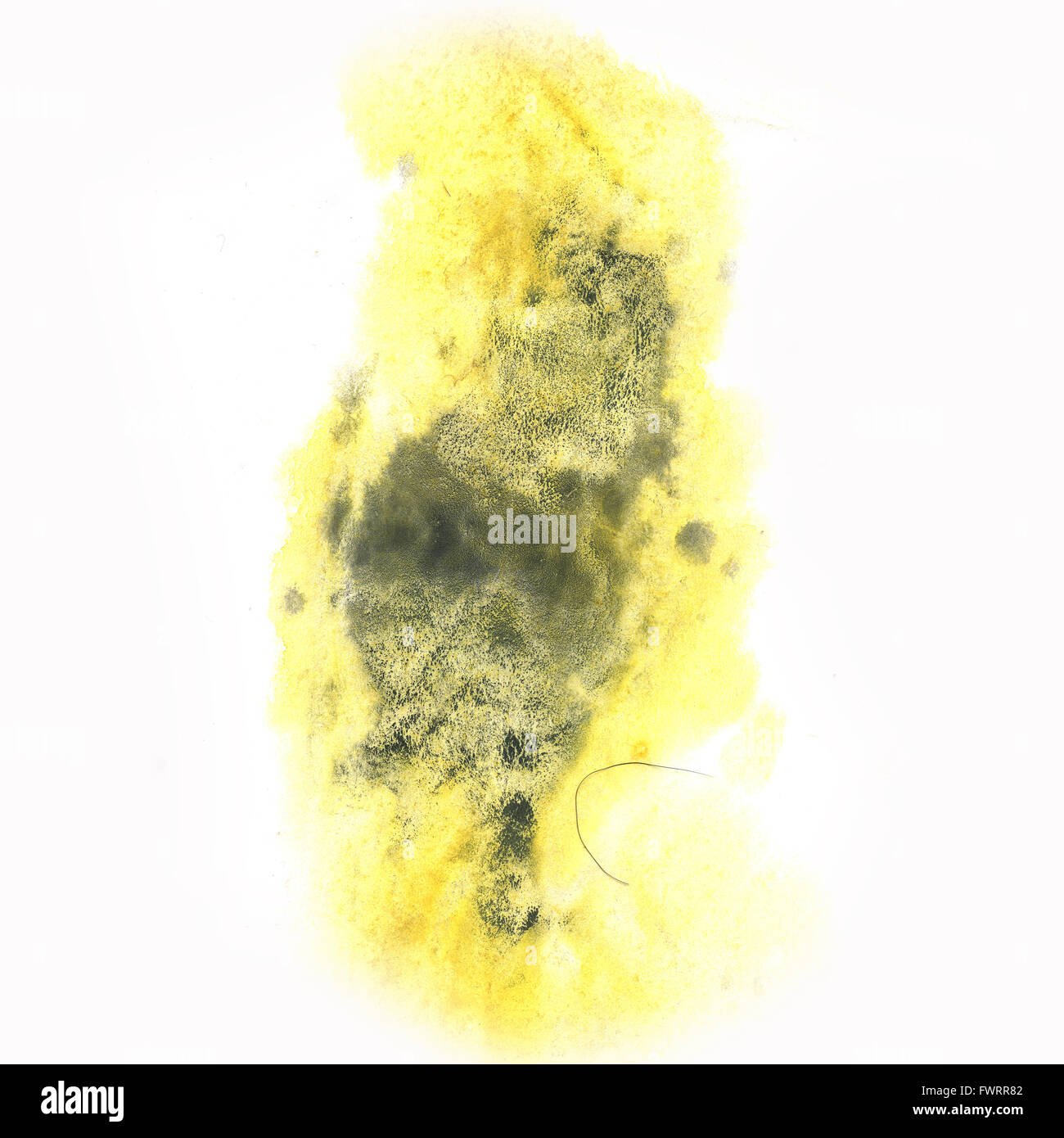 macro yellow black spot blotch texture isolated on a white background ...