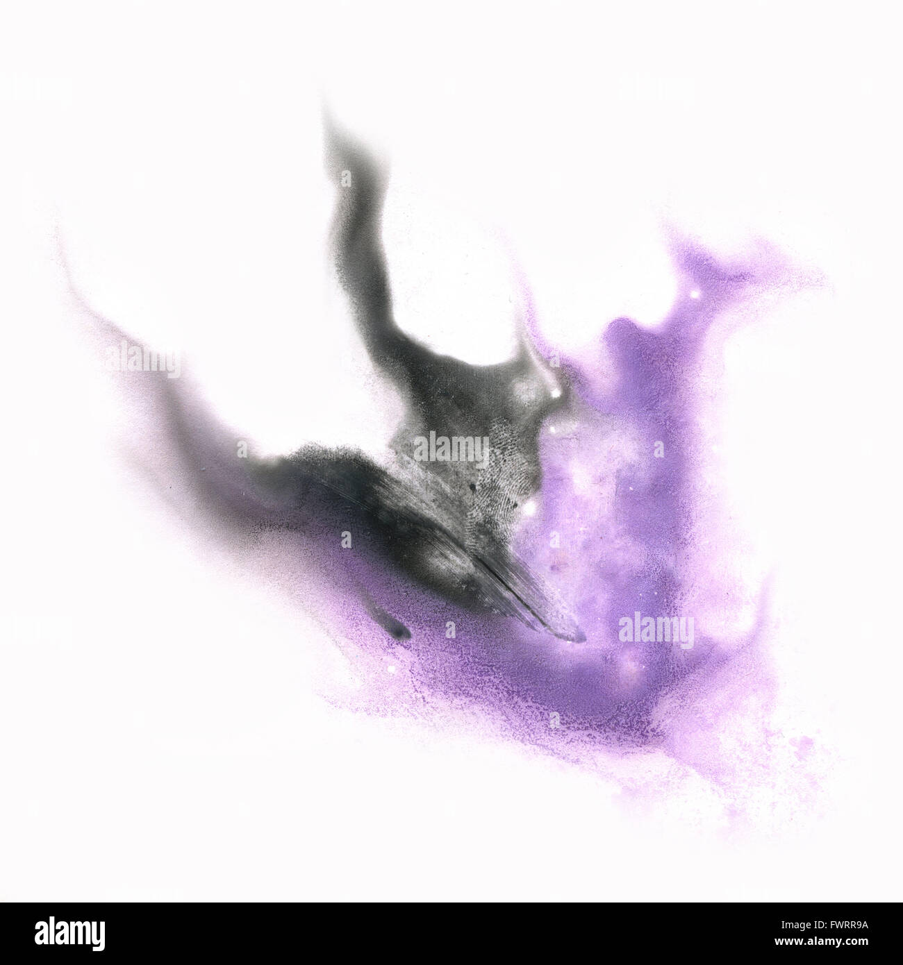 Paint Black Purple Watercolour Splatter High Resolution Stock ...
