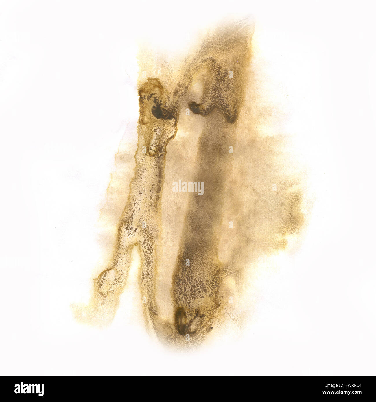 paint watercolour splatter brown watercolors spot blotch isolated Stock ...