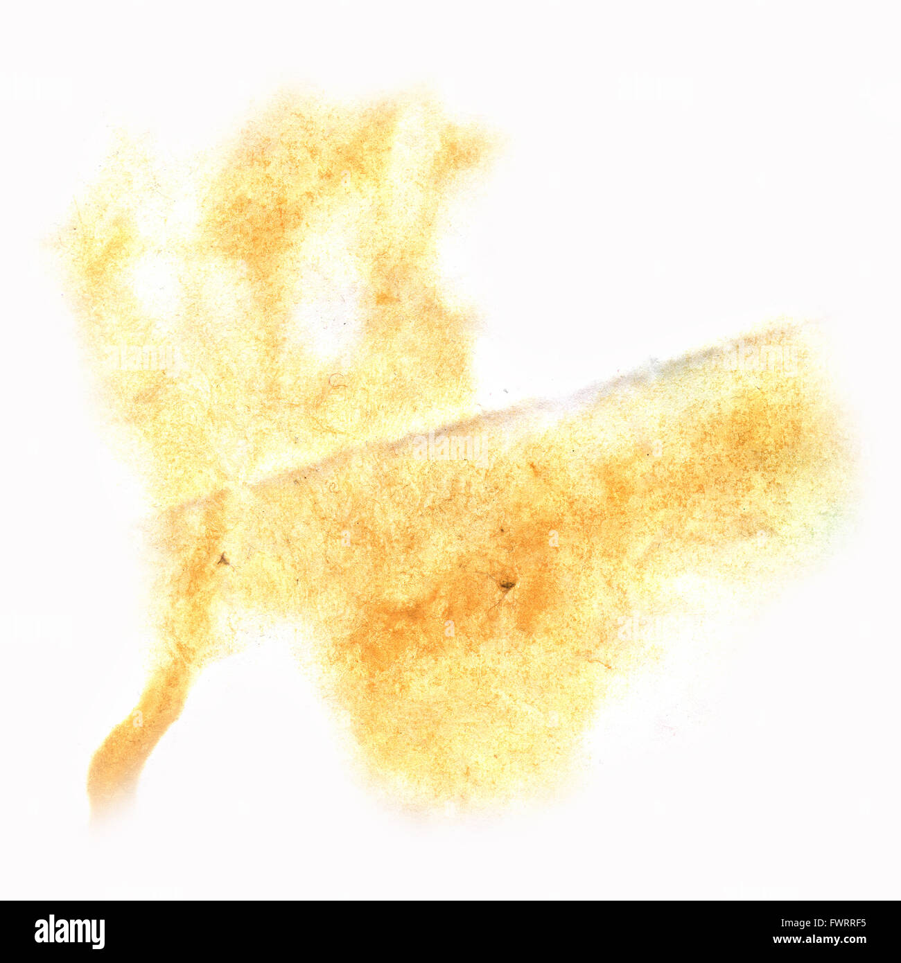 Light brown splatter hi-res stock photography and images - Alamy