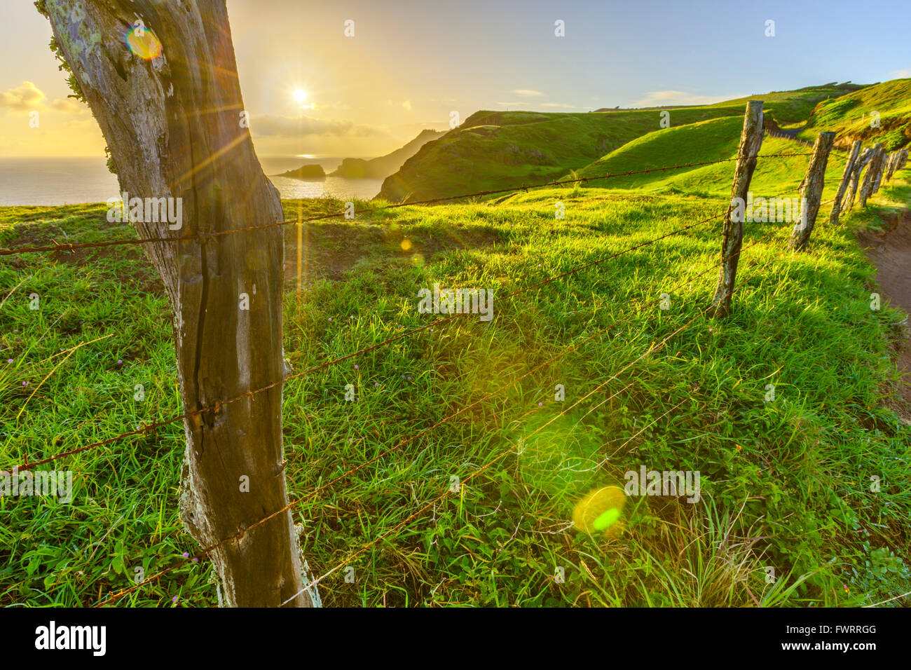 Pasture land on Maui Stock Photo - Alamy