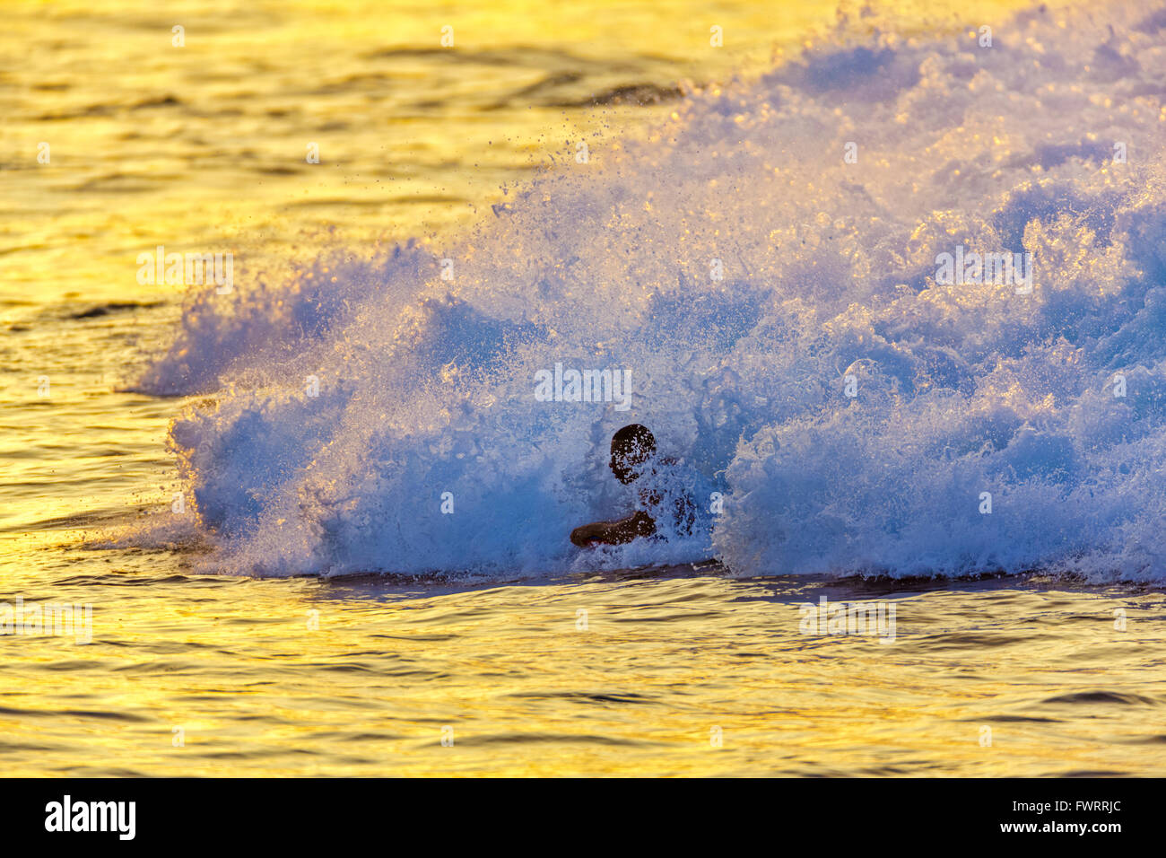 Bodyboarding in Maui Stock Photo - Alamy