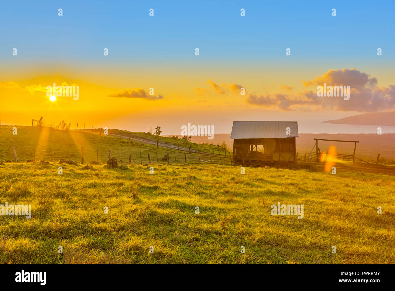 Cattle ranching hawaii hi-res stock photography and images - Alamy