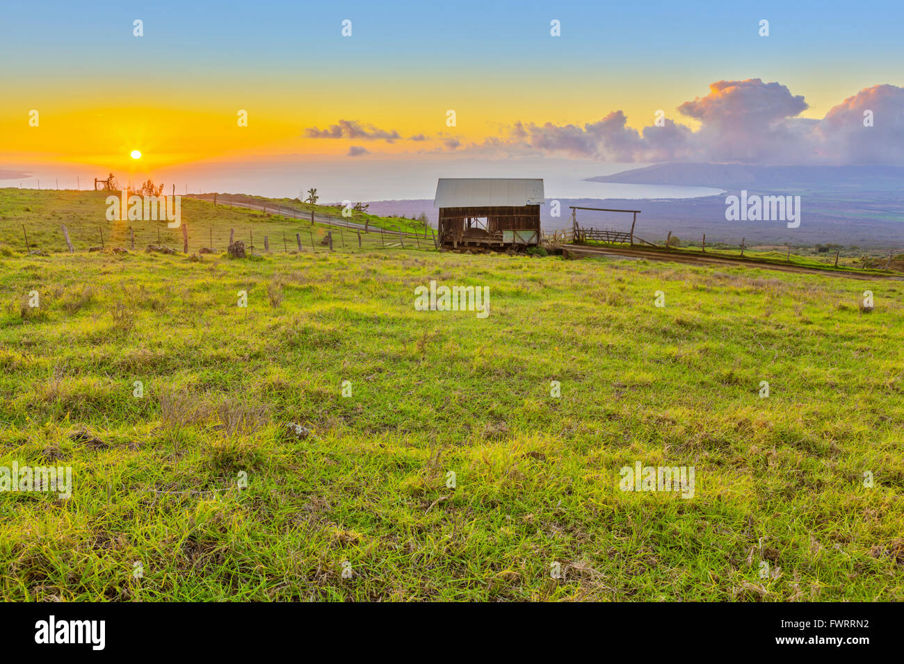 Kaonoulu ranch hi-res stock photography and images - Alamy