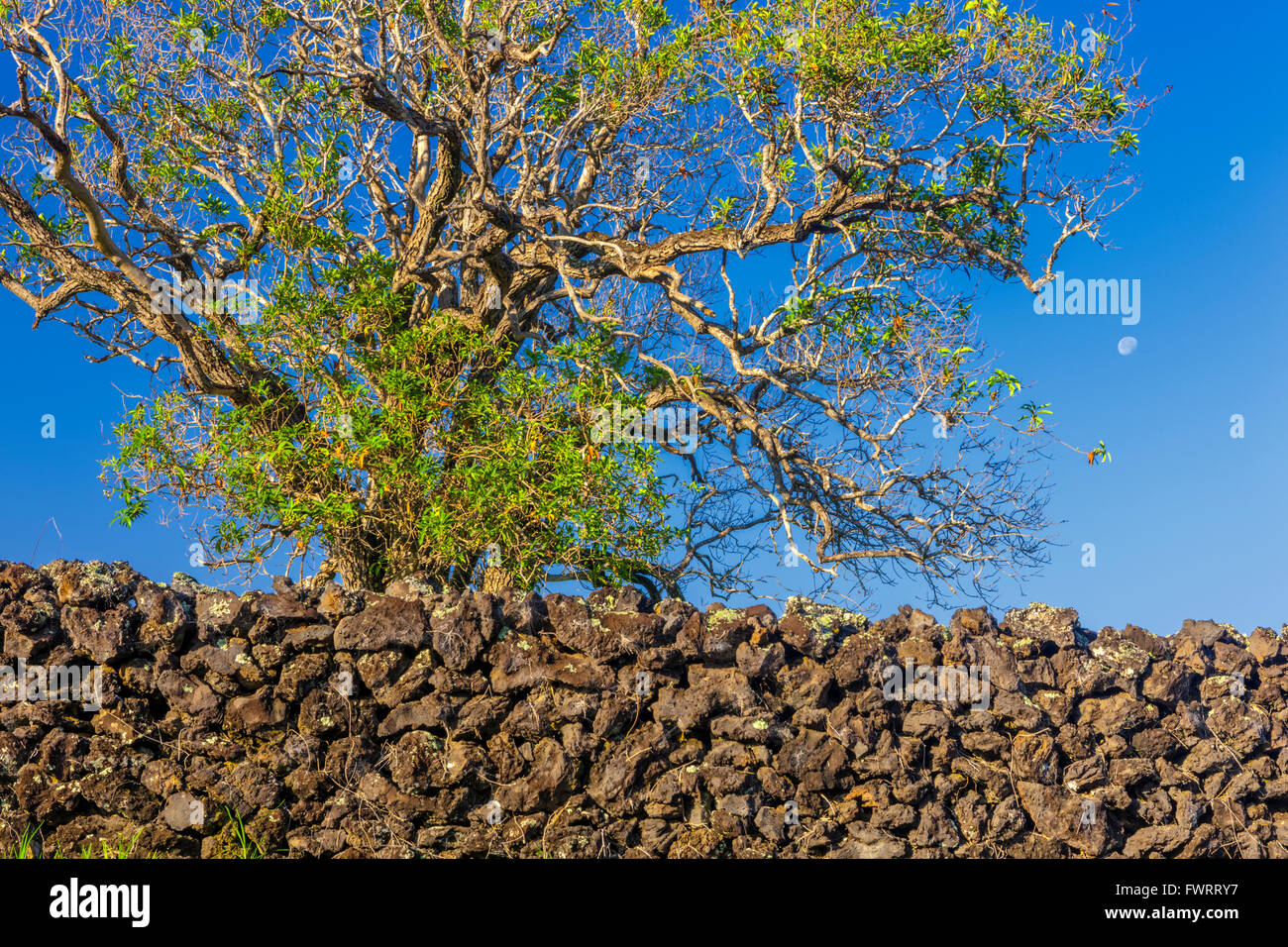 Lava rock wall hi-res stock photography and images - Alamy