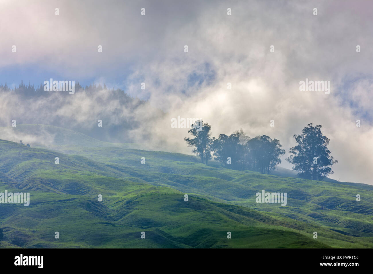 Green slopes in misty hi-res stock photography and images - Alamy