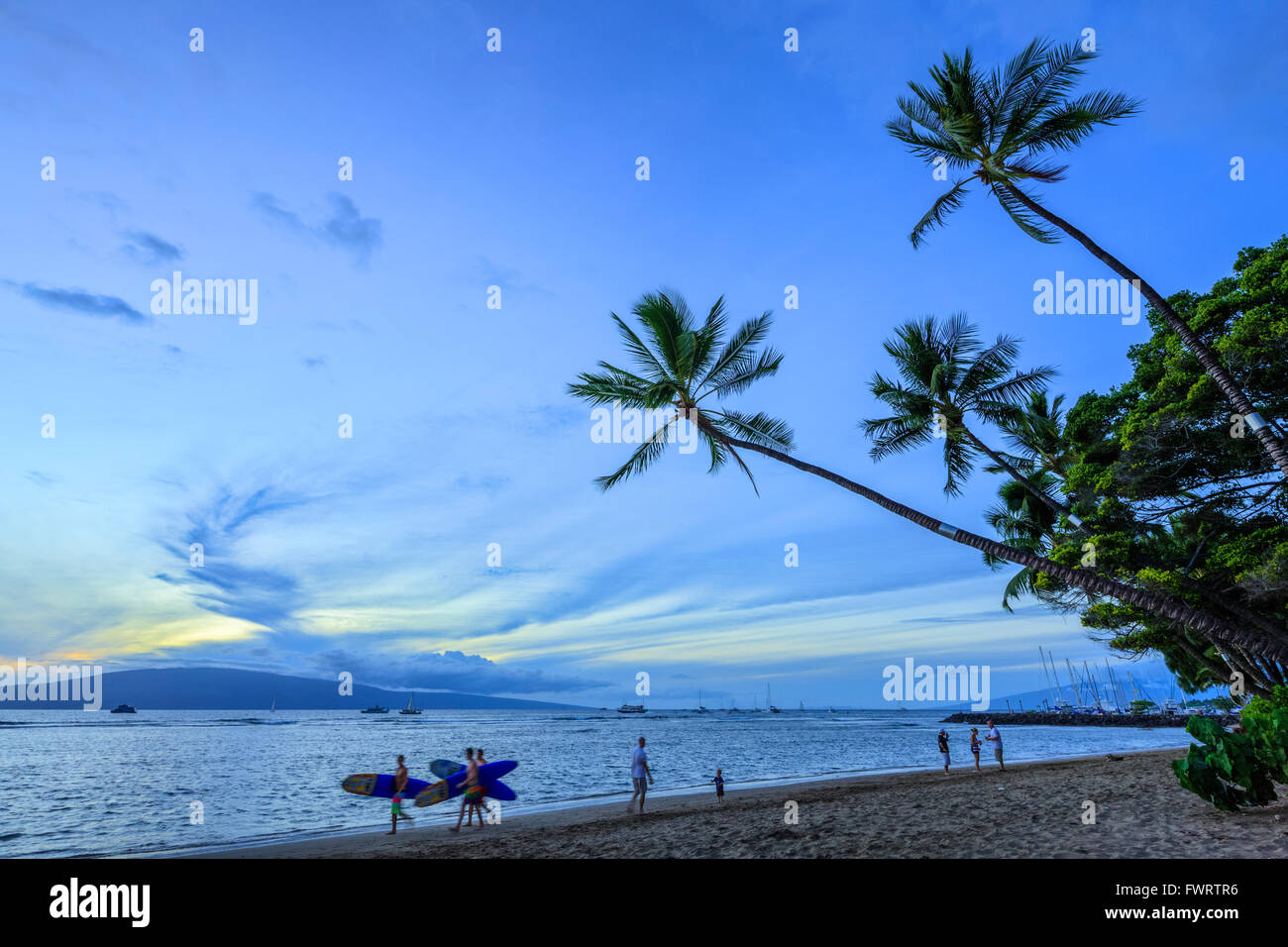 Palm beach locals tourist hi-res stock photography and images - Alamy