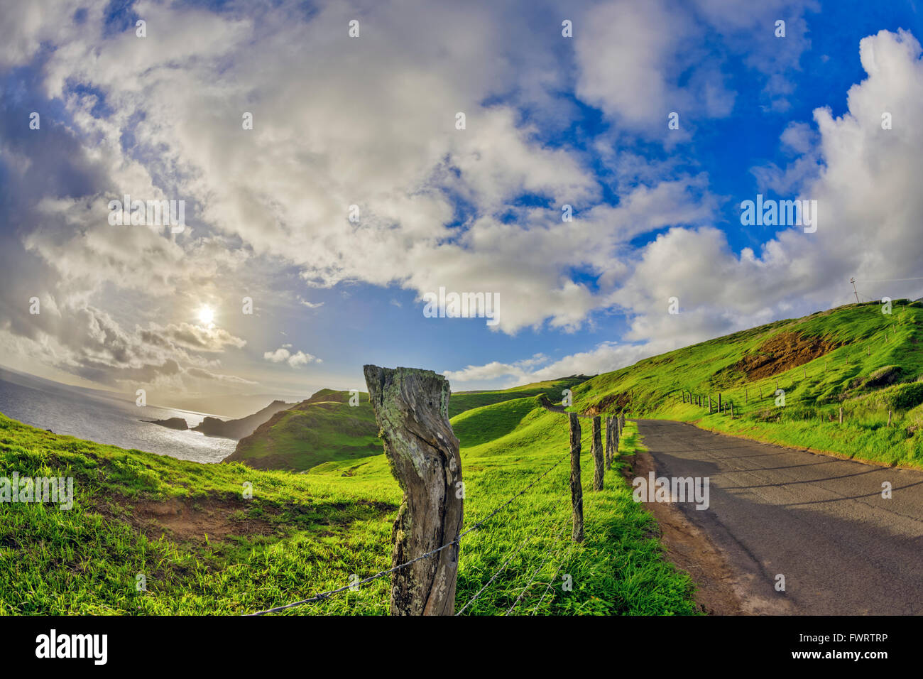 Cattle ranching hawaii hi-res stock photography and images - Alamy